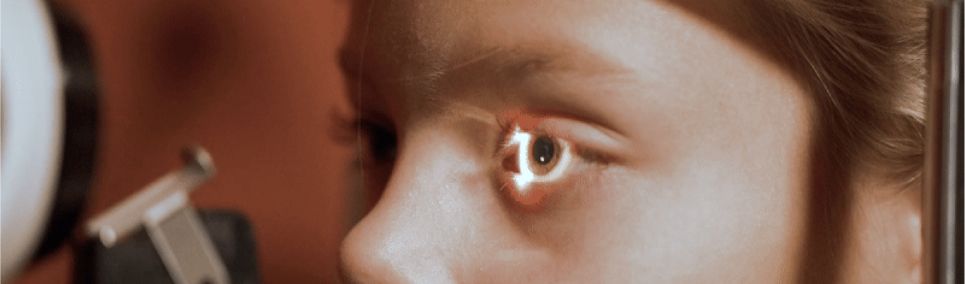 News & Insights - Spectrum